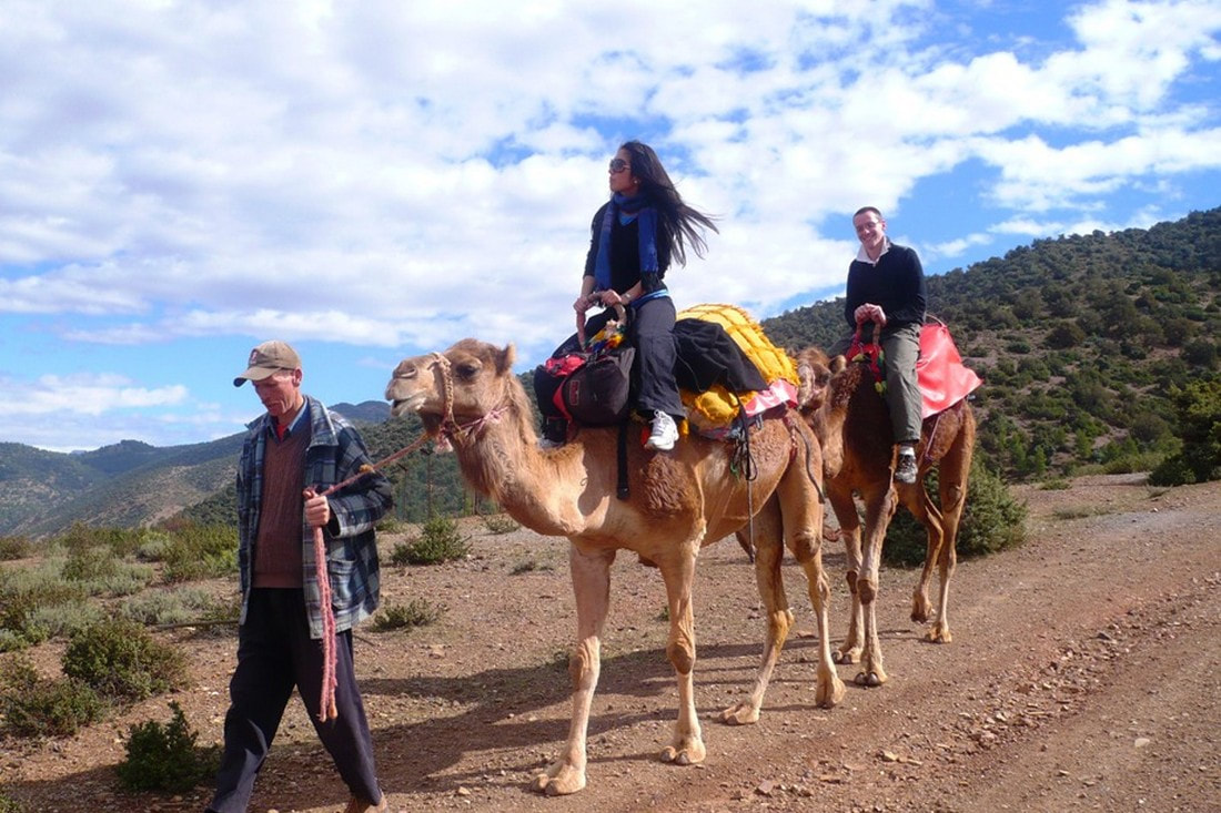 1 day Camel Trek in Asni Atlas Mountains, Marrakesh camel ride High ...