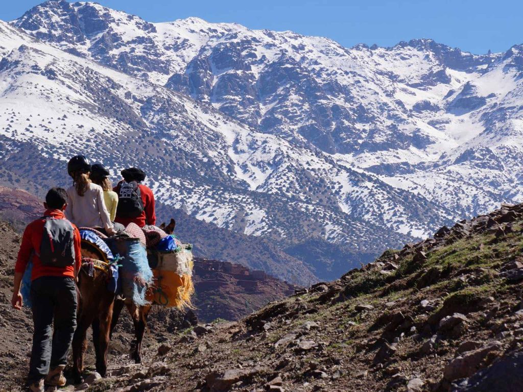 Day trip to Atlas Mountains berber villages Waterfalls, Mule trek from ...